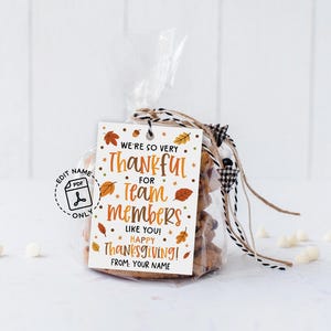 Happy Thanksgiving Gift Tags Printable, Thankful for Team Members, Fall ...