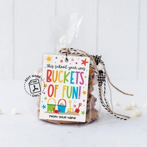 Buckets of Fun Tag, Summer Teacher Gift Tag, Summer Teacher ...