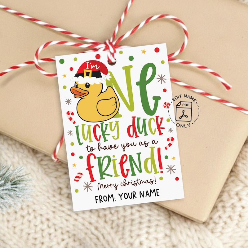 One Lucky Duck Christmas - Etsy