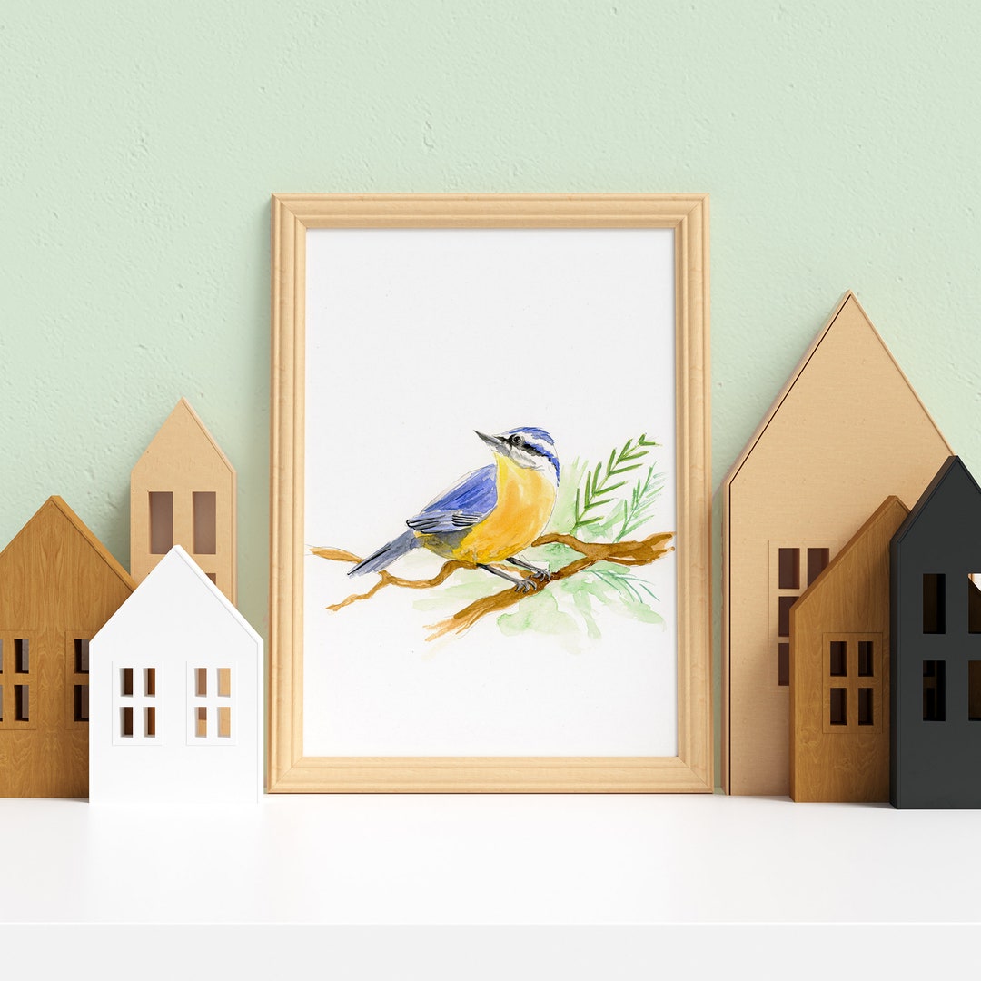 NUTHATCH BIRD Bird Prints Watercolor Framed Print Bird Art - Etsy