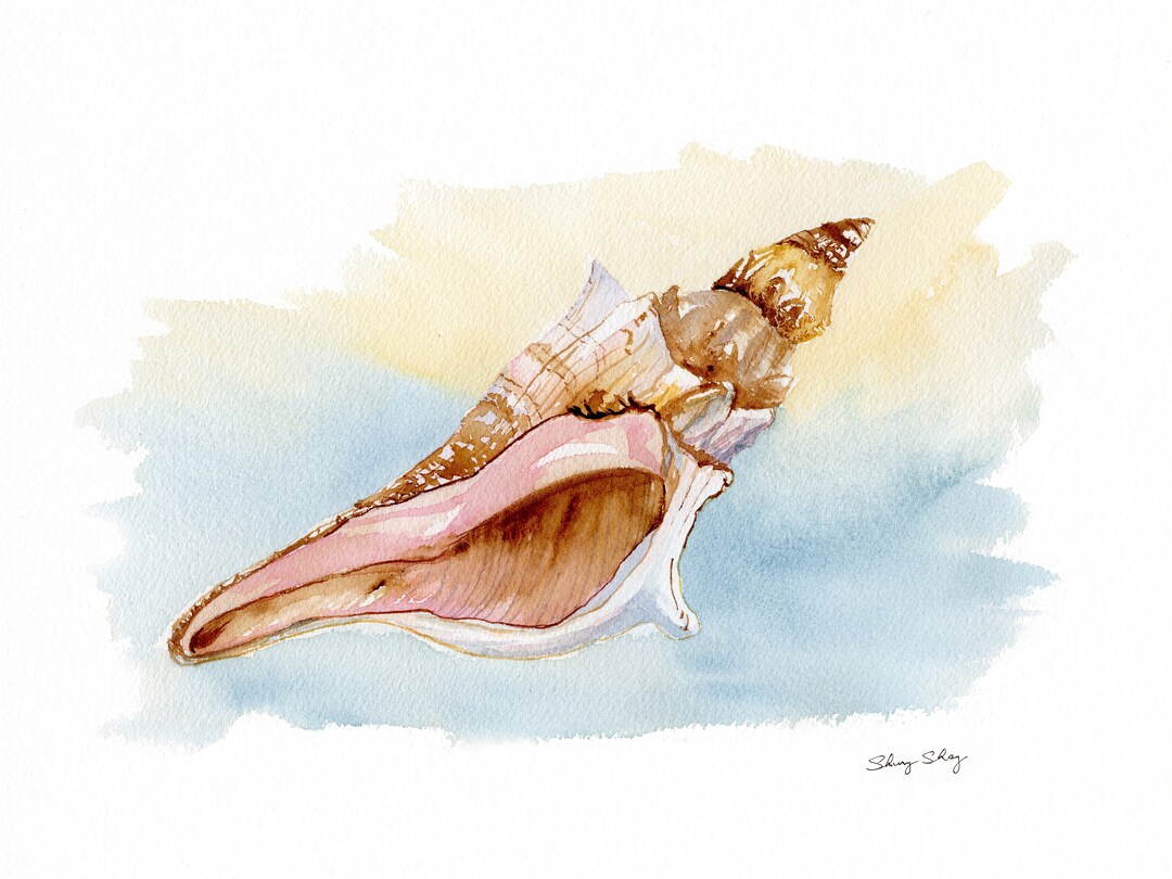 Sea Shell Print, Conch Shell Art, Watercolor Painting, King's Crown ...