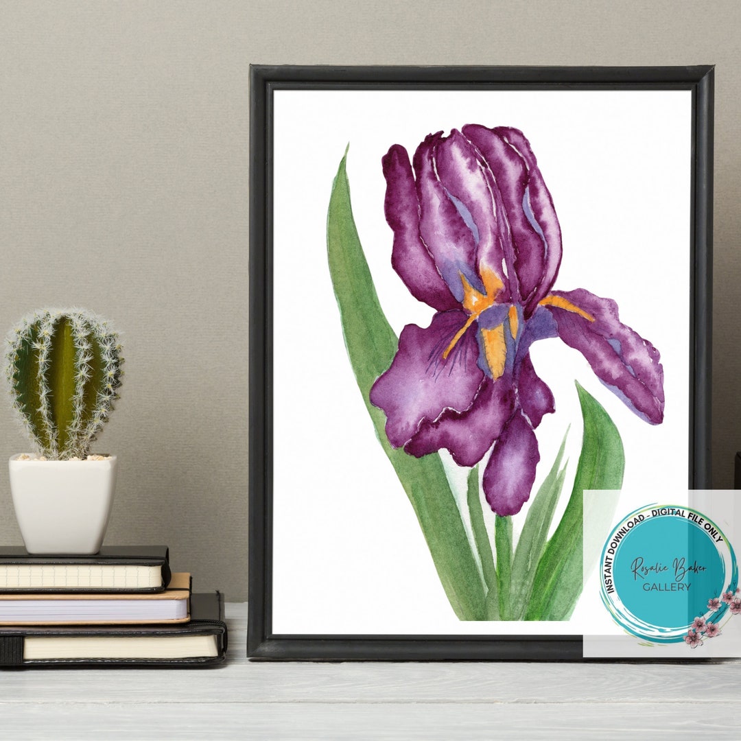 Purple Iris Art Watercolor Painting Print, Watercolor Flowers ...