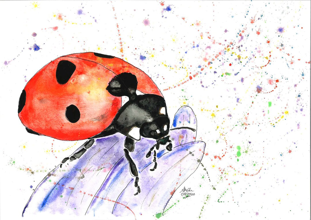 A4 Ladybird Signed Limited Edition Print of Original Watercolour ...
