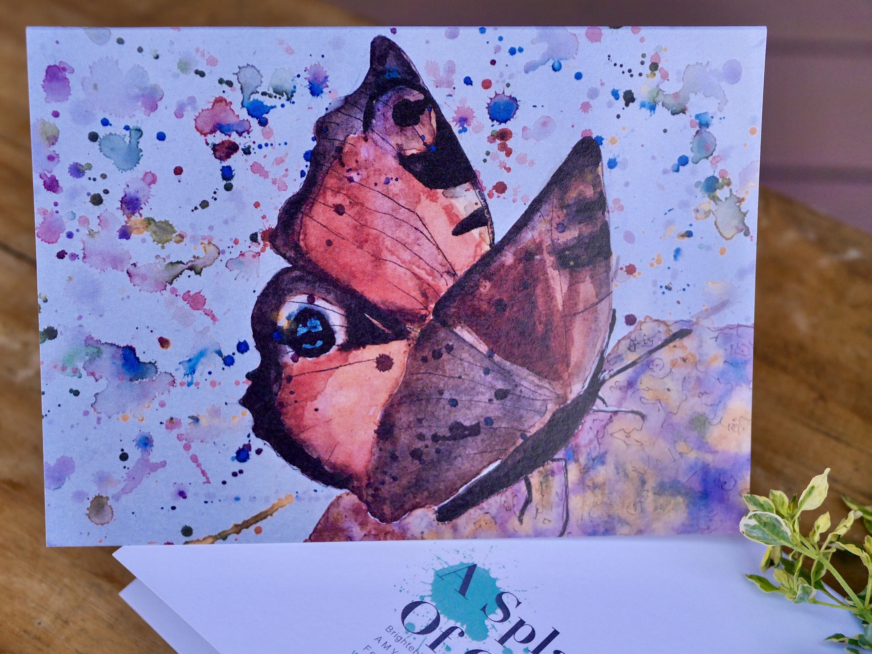 Pack of 5 Butterfly Greetings Cards/ Printed on Recycled - Etsy