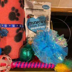 Cat Treat Hamper/kitten Starter Pack/birthday Gift Ideas - Etsy