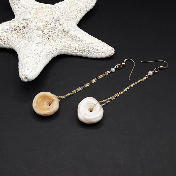 Shell Earrings - Etsy