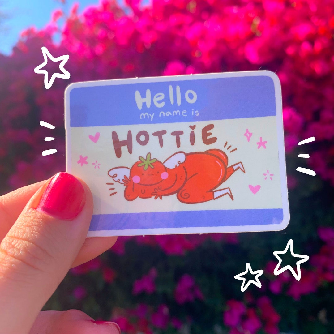 Hello My Name is Hottie Sticker // Cute Funny Aesthetic - Etsy