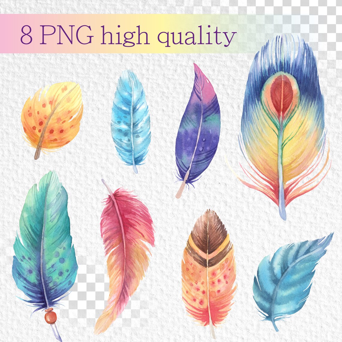 Watercolor Clipart Bright Feathers. High Quality Transparent - Etsy