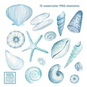 Watercolor Clipart Seashells.summer Print-nautical Theme: Starfish ...