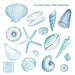 Watercolor Clipart Seashells.summer Print-nautical Theme: - Etsy