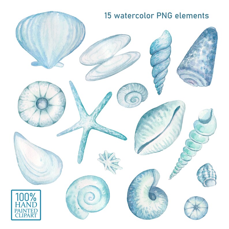 Watercolor Clipart Seashells.summer Print-nautical Theme: Starfish ...