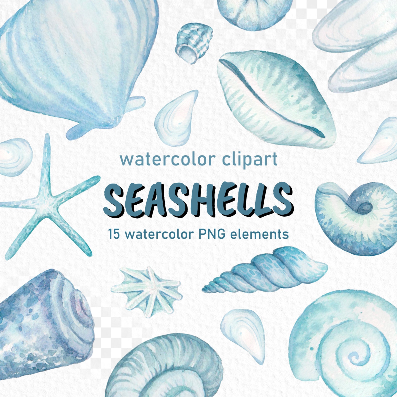 Watercolor Clipart Seashells.summer Print-nautical Theme: Starfish ...