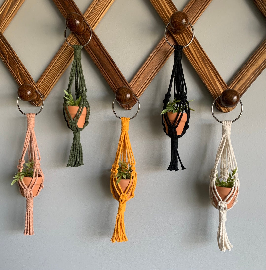 Mini Macrame Plant Hanger - Etsy