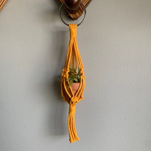 Mini Macrame Plant Hanger - Etsy