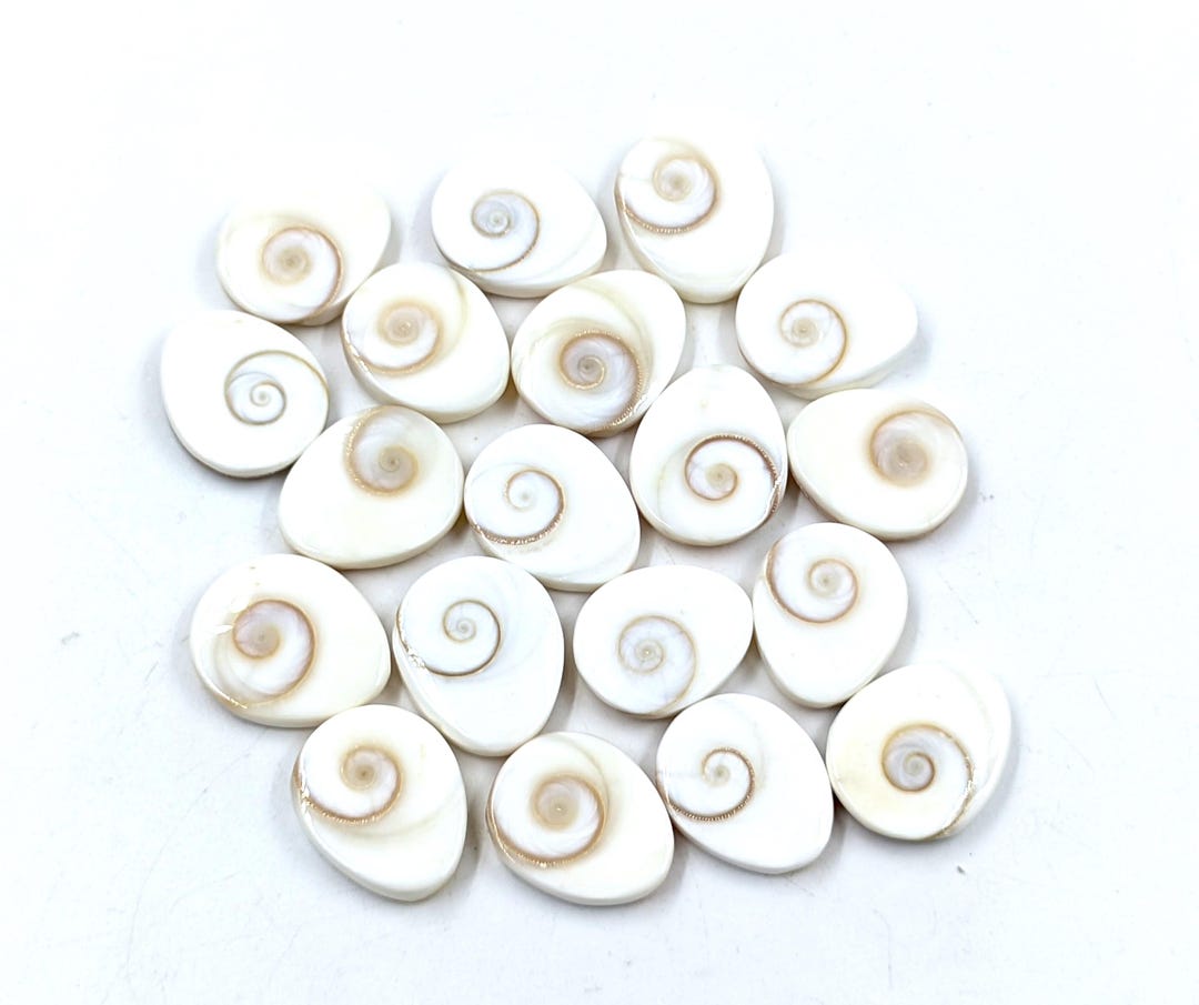 Shiva Eye Shell Cabochons: Natural Pear Gemstone Beads, 5 Pieces - Etsy