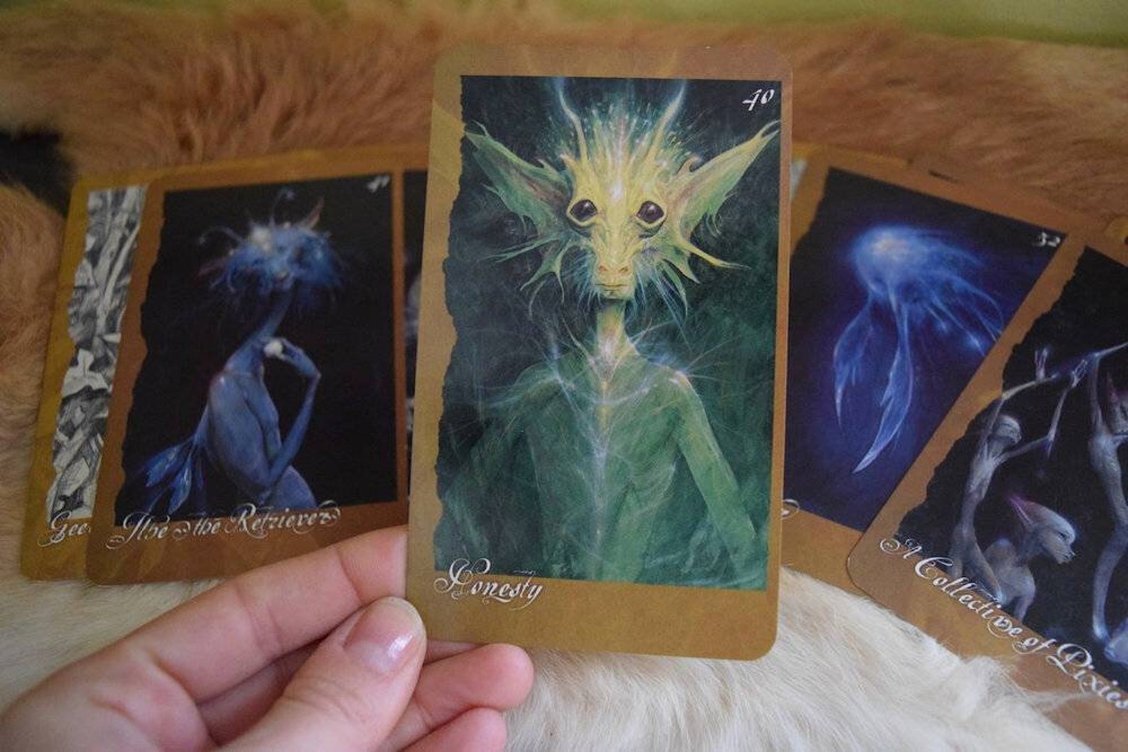 The Faeries' Oracle Deck 66 Card Deck Brian Froud - Etsy