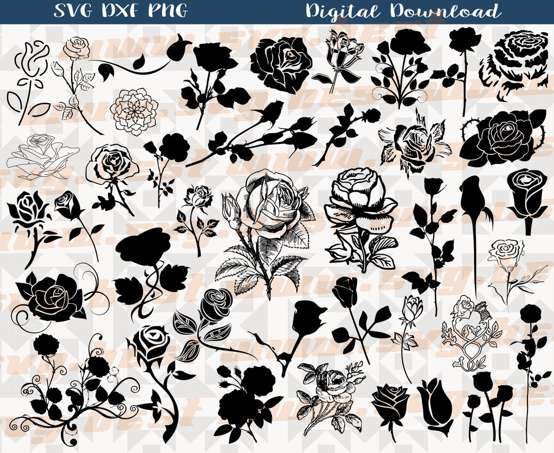 Rose SVG Bundle, Flower Cut Files (digital Download) - Etsy