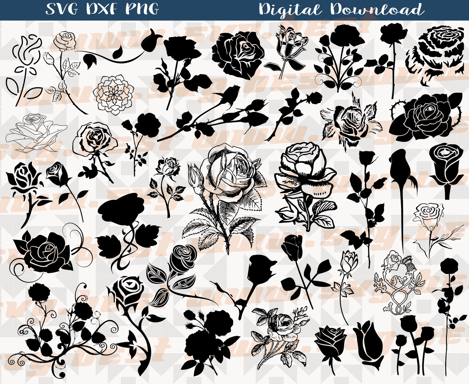 Rose SVG Bundle, Flower Cut Files (digital Download) - Etsy