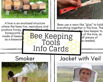 Bee Flash Cards - Etsy