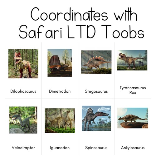 Insects Toob Safari LTD Identification Cards - Etsy