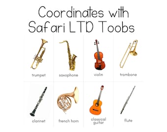 Parts of a Turkey Nomenclature 3-part Cards Montessori - Etsy