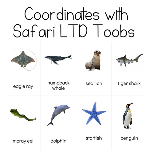 Musical Instruments Toob Safari LTD Identification Cards - Etsy