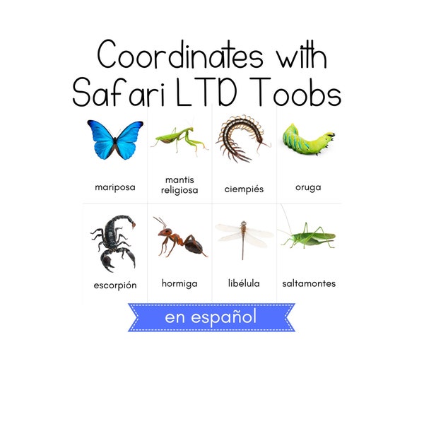 Buy Spanish Insects Toob Safari Ltd Identification Cards Online In ...