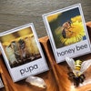 Busy Bees Tracing Sheets - Etsy Canada