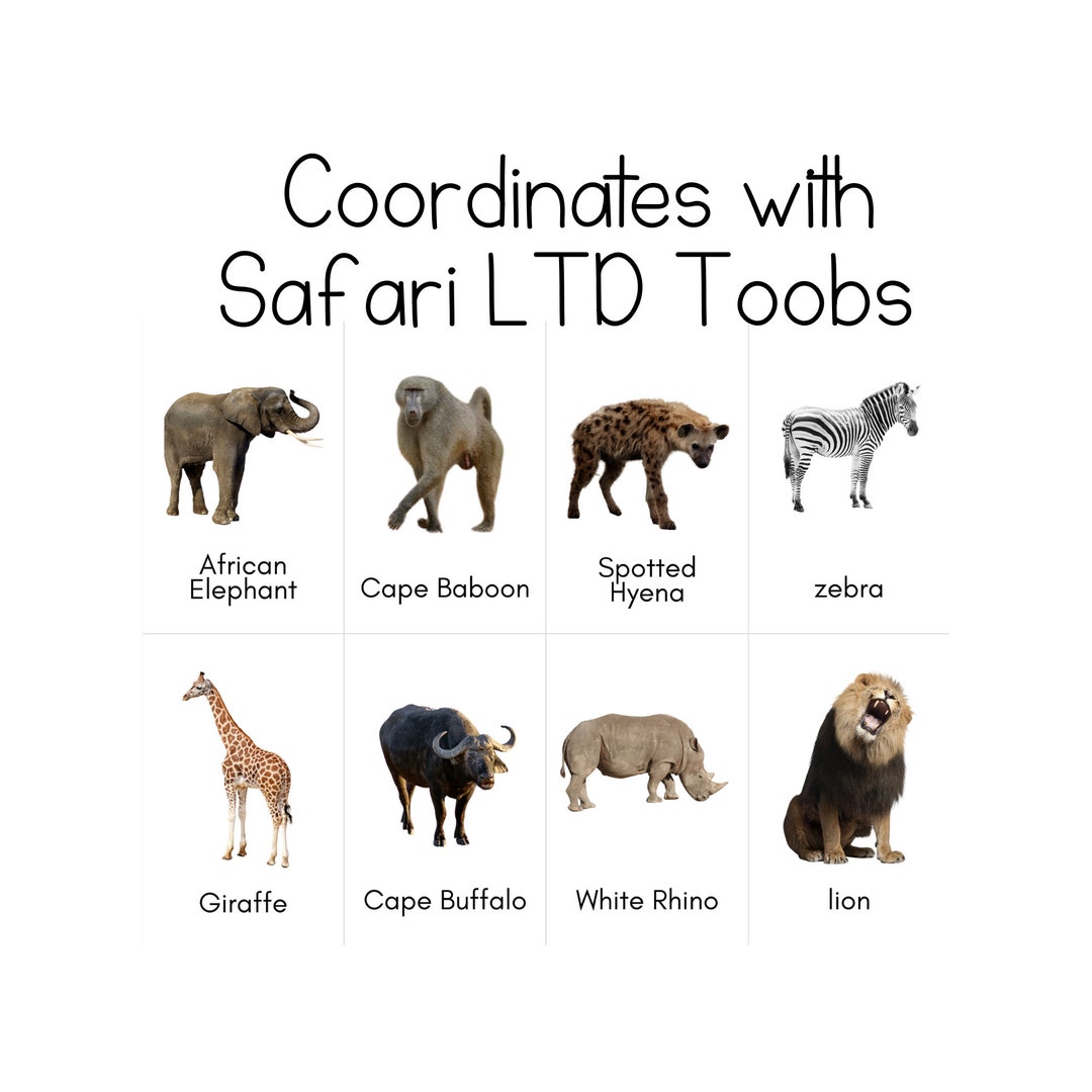 South African Animals Toob - Safari LTD Identification Cards - Etsy