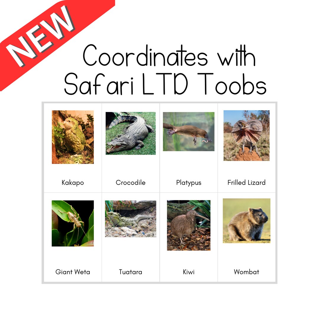 Australian Continental - Safari LTD Identification Cards - Etsy