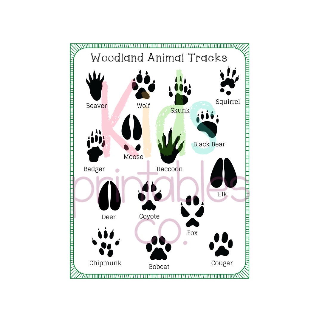 Animal Tracks Poster - Letter Sizes Printable - Etsy