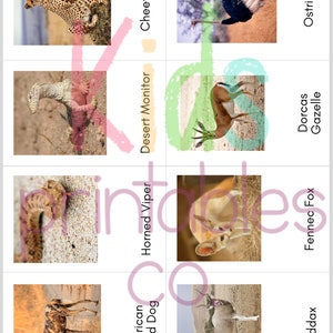 ¡NUEVO!* Toob de animales del desierto del Sahara - Tarjetas de ...