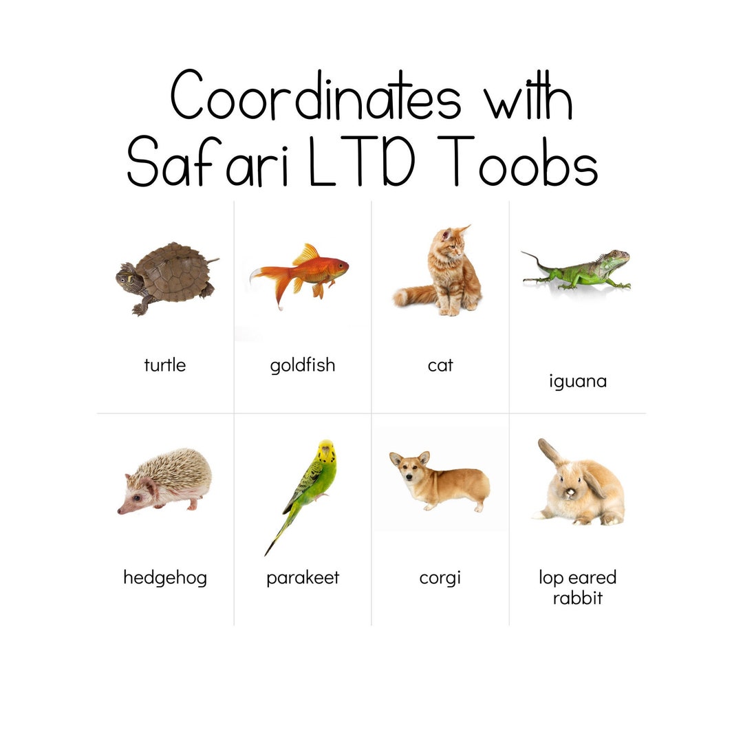 Pets Toob - Safari LTD Identification Cards - Etsy