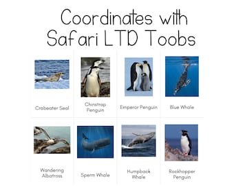 Arctic Toob | Safari LTD | Identification Cards | Fact Cards | Arctic ...