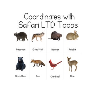 Nature Toob - Safari LTD Identification Cards - Etsy