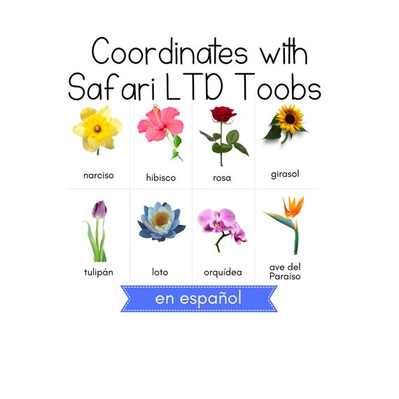 SPANISH Flowers Toob Safari LTD Identification Cards | Etsy