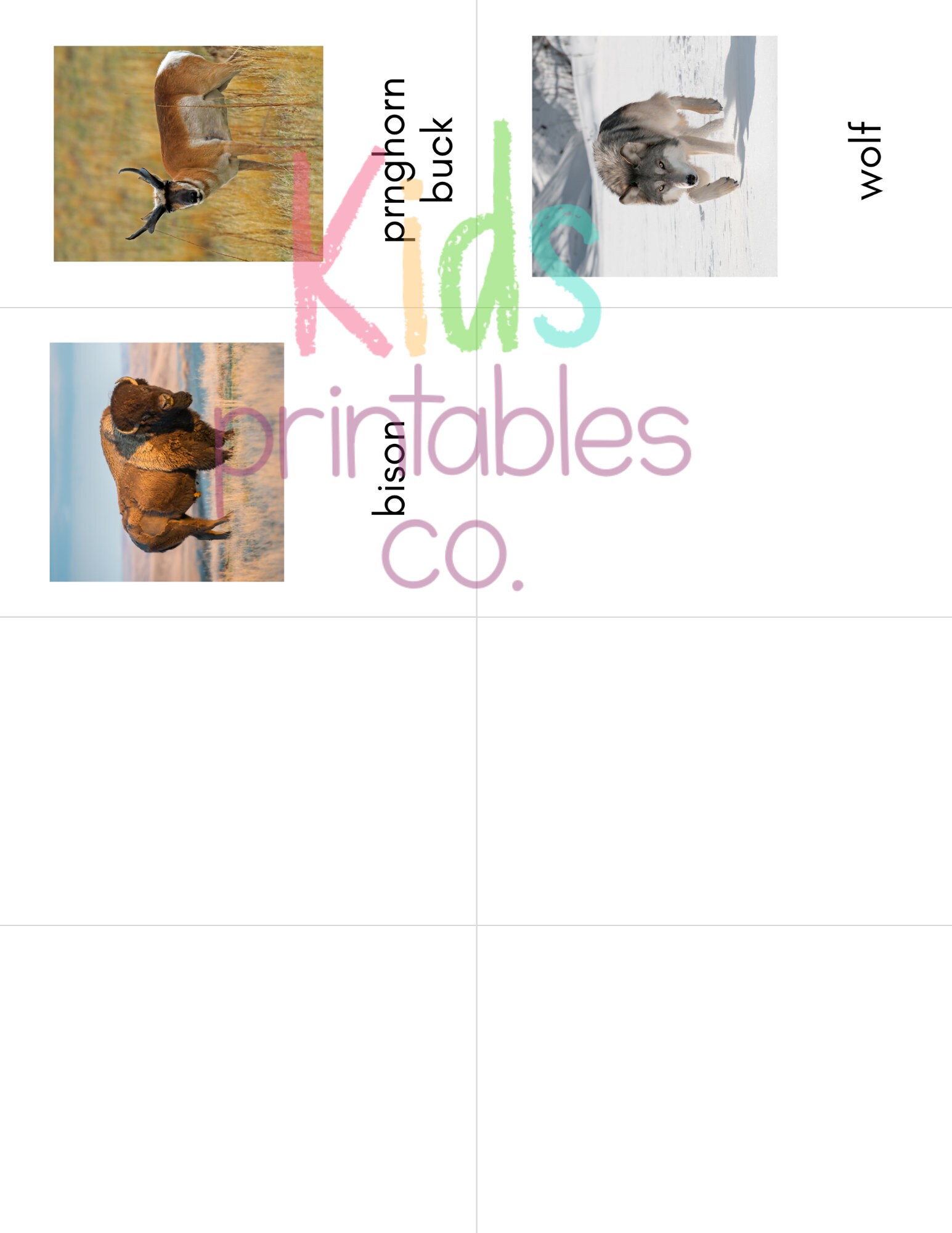 North American Wildlife Toob - Safari LTD Identification Cards - Etsy