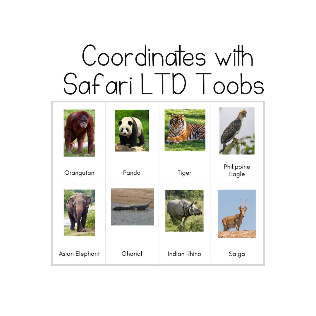 NEW!* Asian Animals Toob - Safari LTD Identification Cards - Etsy