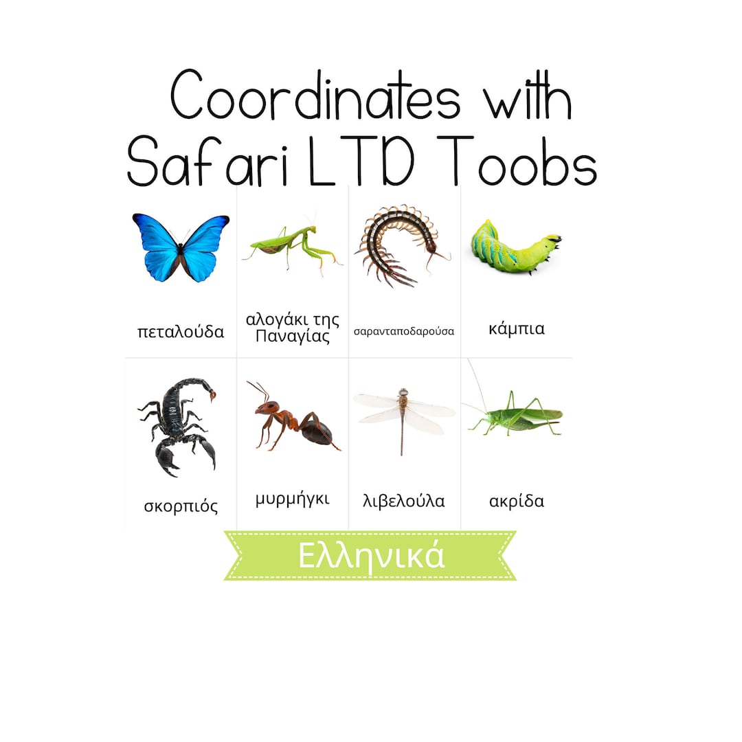 GREEK - Insects Toob - Safari LTD Identification Cards - Etsy