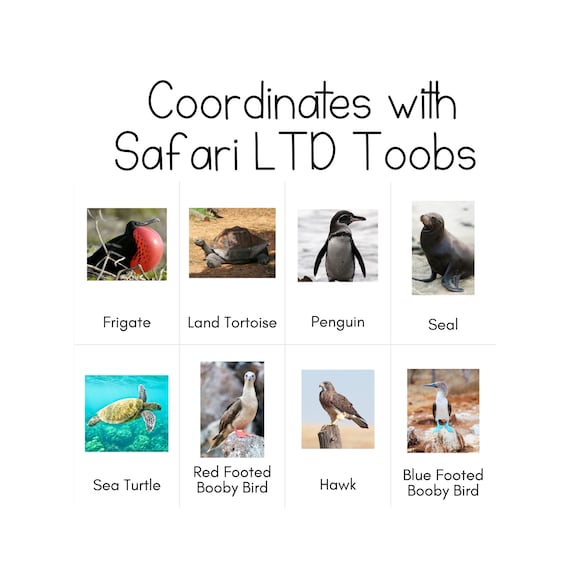 Galapagos Toob Safari LTD Identification Cards | Etsy