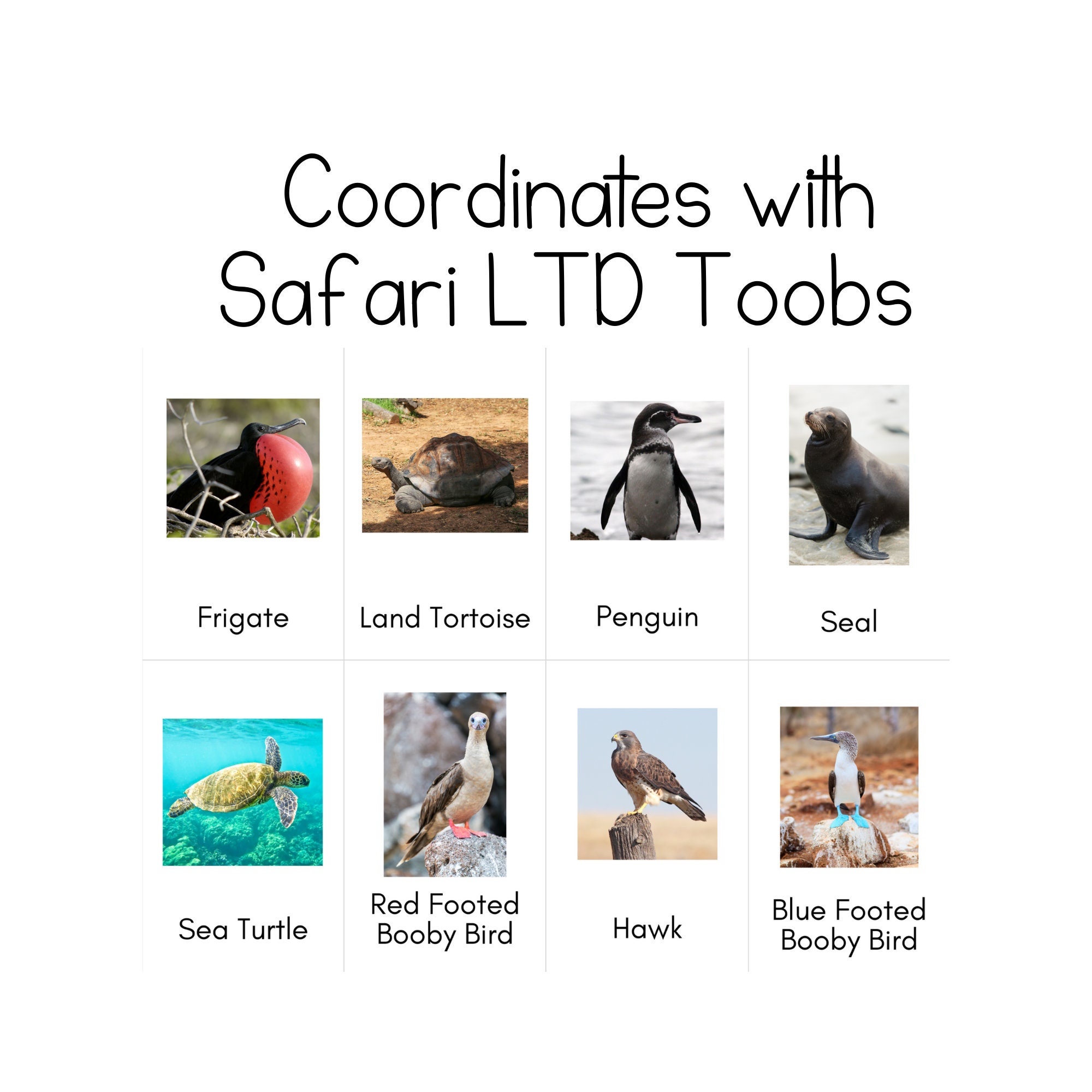 Galapagos Toob Safari LTD Identification Cards - Etsy