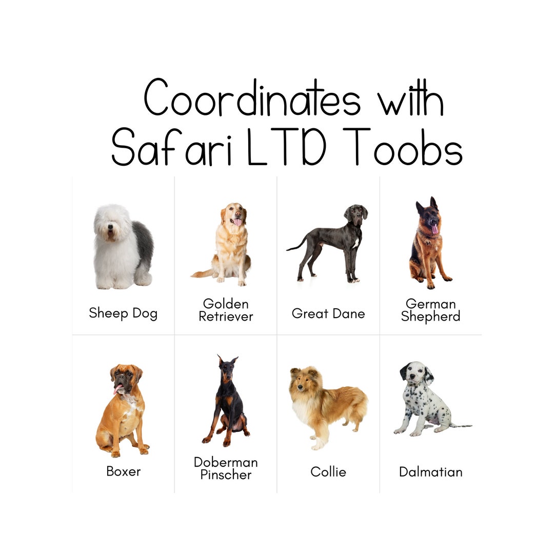 Dogs Toob - Safari LTD Identification Cards - Etsy
