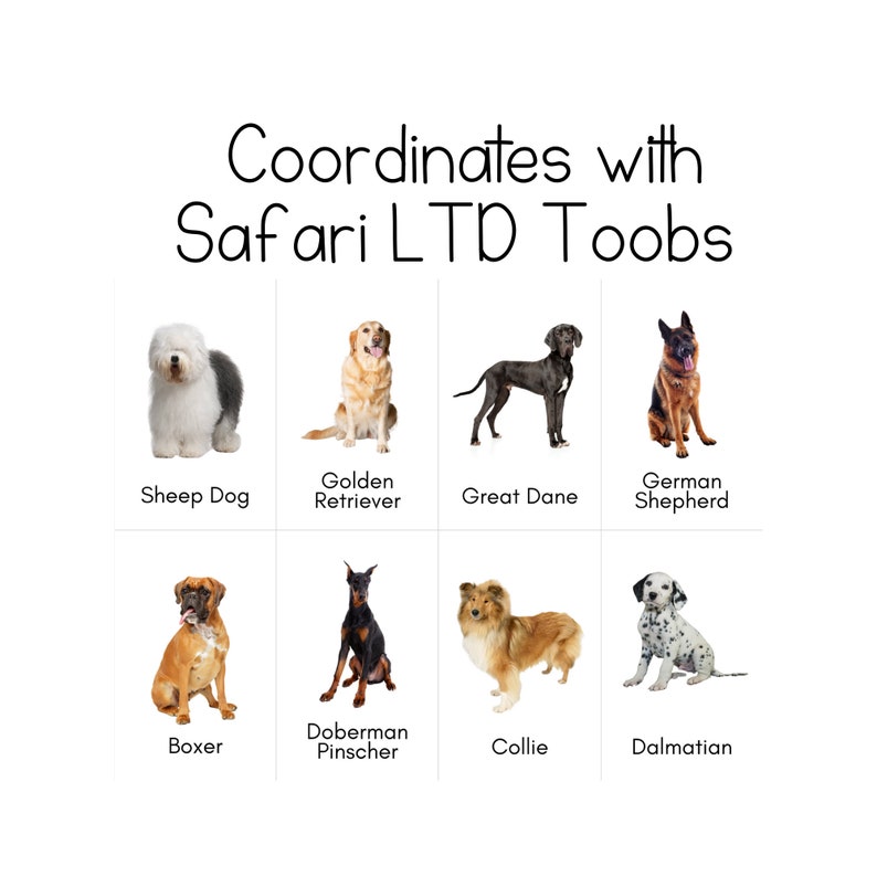 Dogs Toob Safari LTD Identification Cards | Etsy