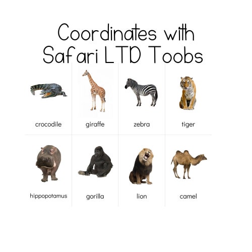 Flowers Toob Safari LTD Identification Cards - Etsy Canada