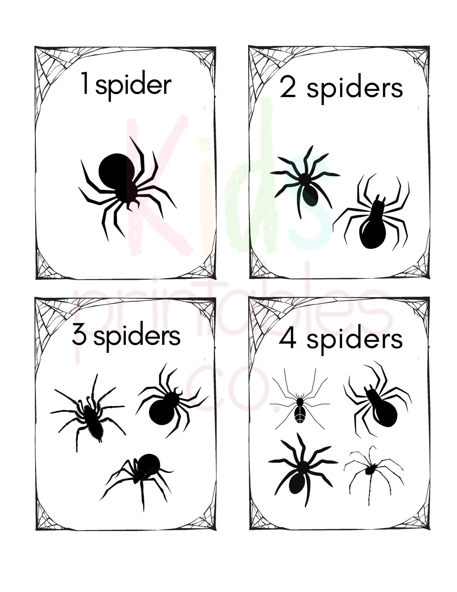 Spider Numbers Cards 1-10 Realistic | Etsy