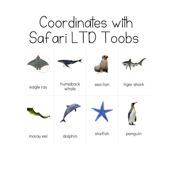 Ocean Safari LTD Identification Cards - Etsy Australia