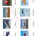 In the Sky Toob - Safari LTD Identification Cards - Etsy Canada