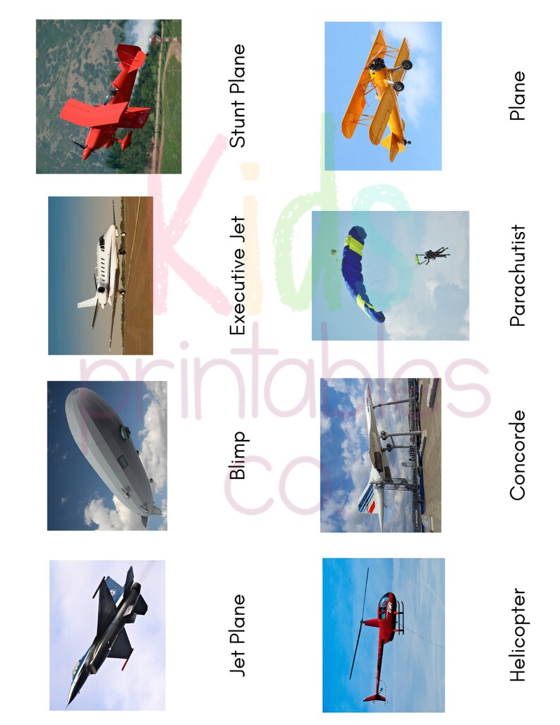 In the Sky Toob - Safari LTD Identification Cards - Etsy Canada