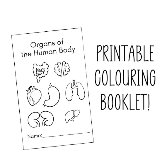 Printable Colouring Book Human Organs | Etsy