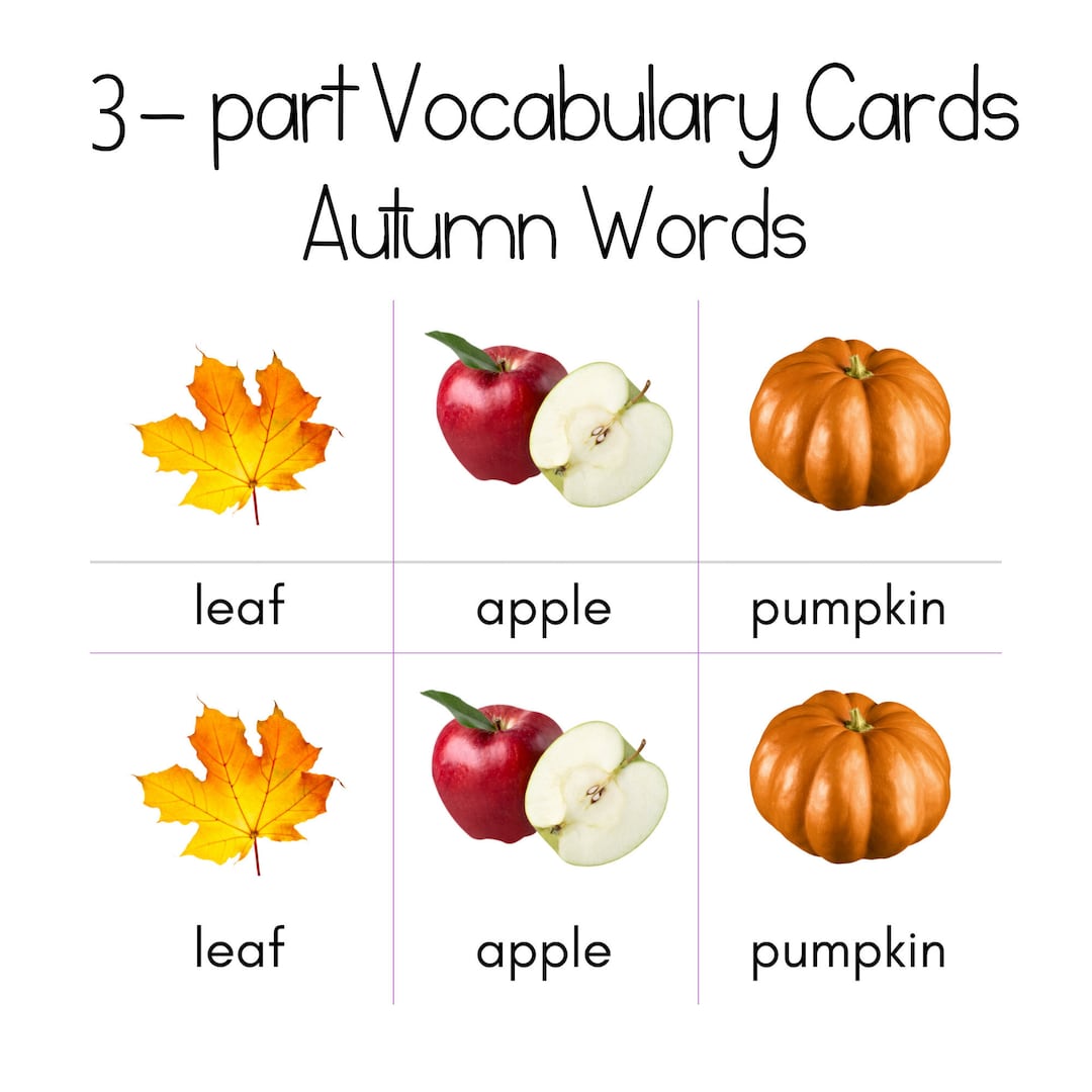 3-part Montessori Vocabulary Cards - Autumn Words - Etsy Canada